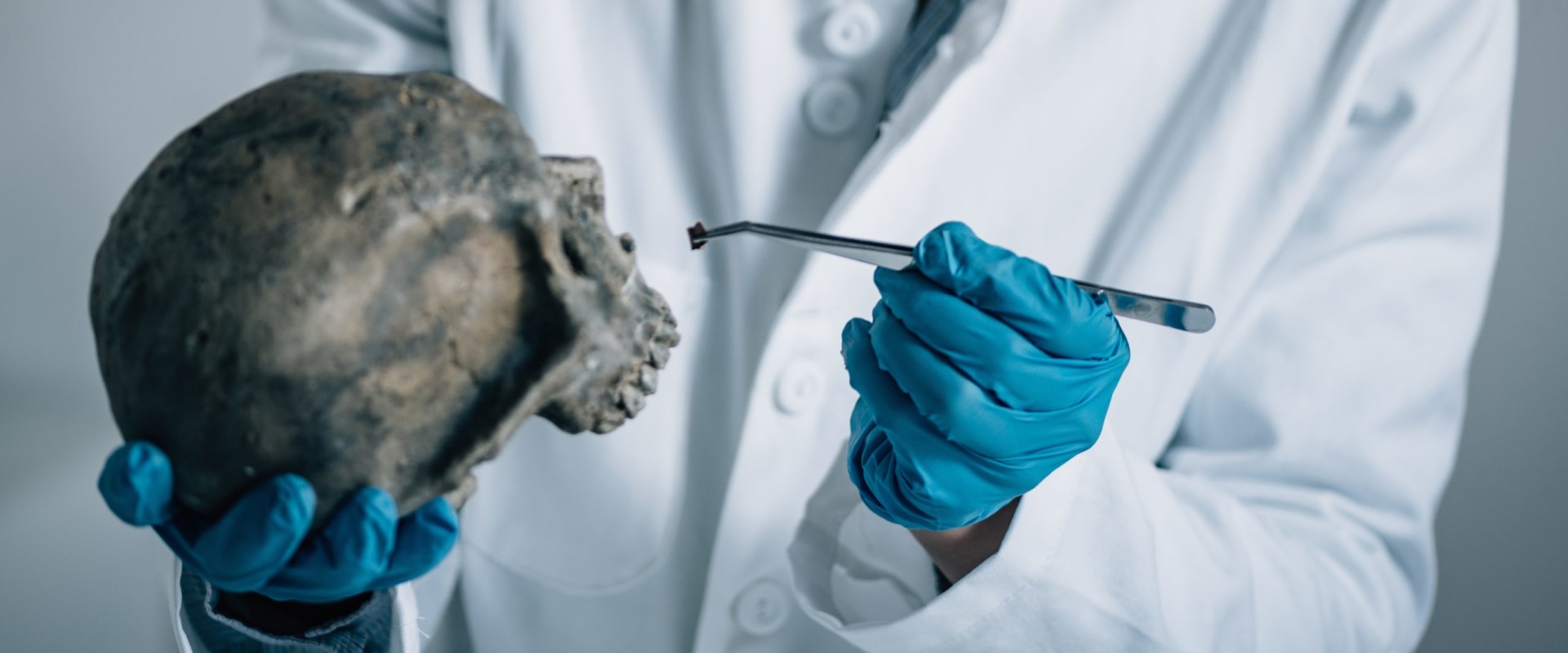 Is Forensic Odontology and Forensic Dentistry the Same? A Comprehensive ...