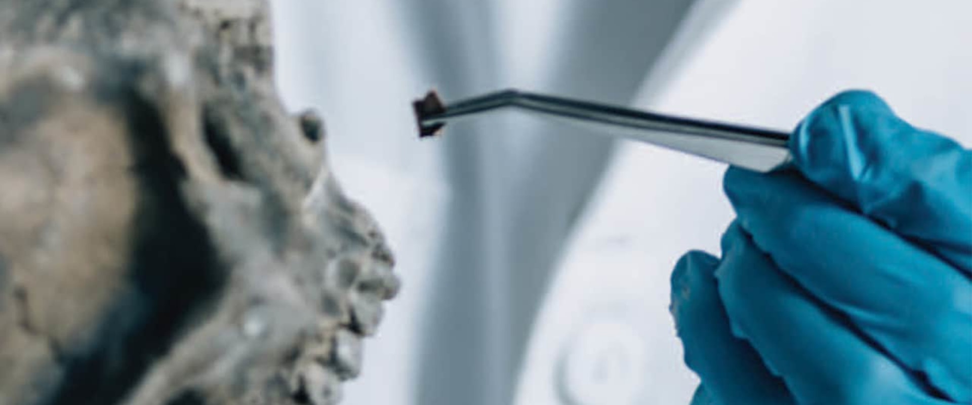 Unveiling the Secrets of Forensic Odontology: How Dental Evidence ...