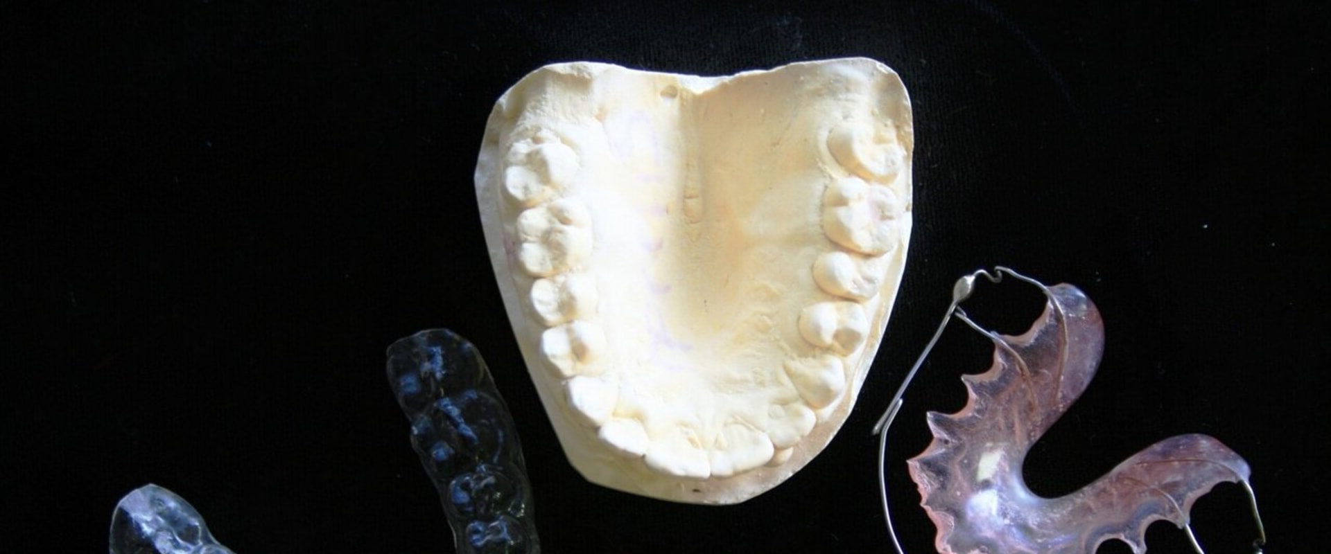 Unveiling the Secrets of Forensic Odontology